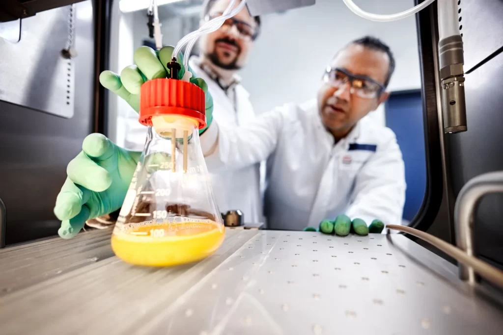 Expert Protein Production and Purification Service | LenioBio