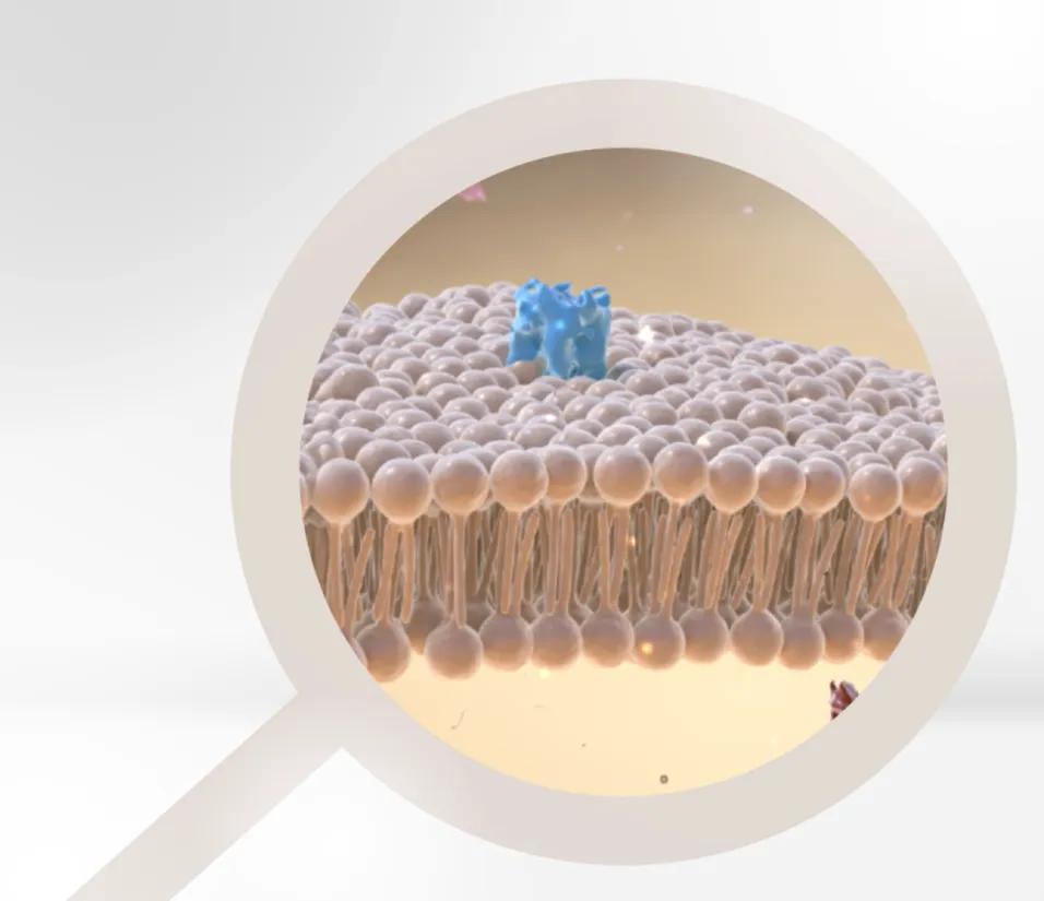 Front Page | LenioBio