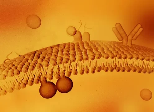 LenioBio | Delivering Your Challenging Proteins